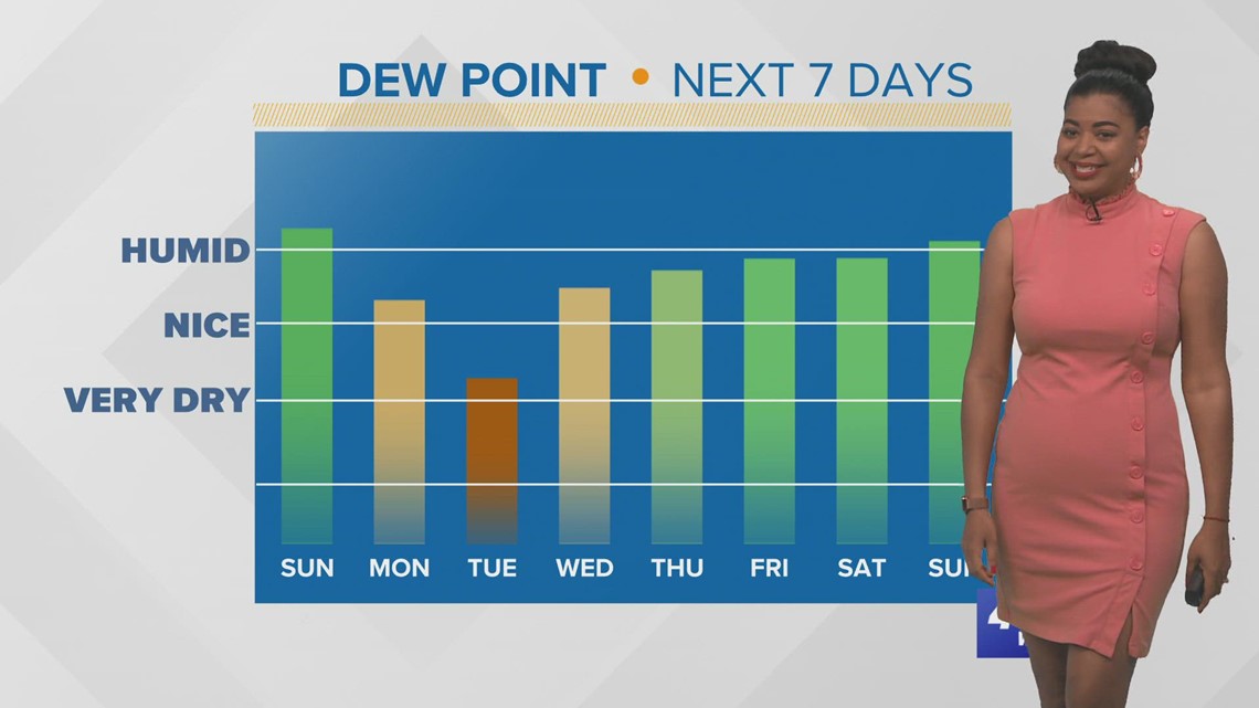 Frank Davis recipe collection to be archived in new culinary library ...