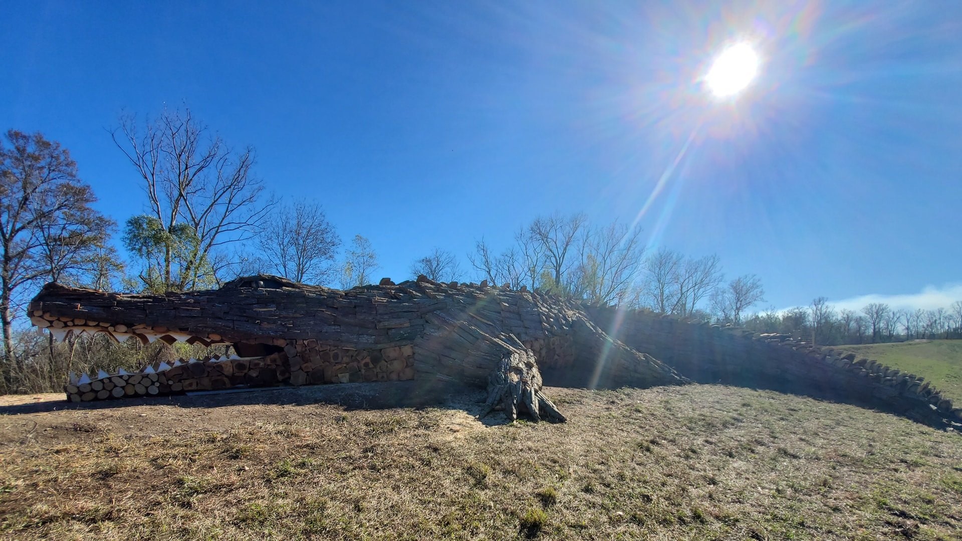 Massive alligator bonfire will light the way for Papa Noel | wwltv.com