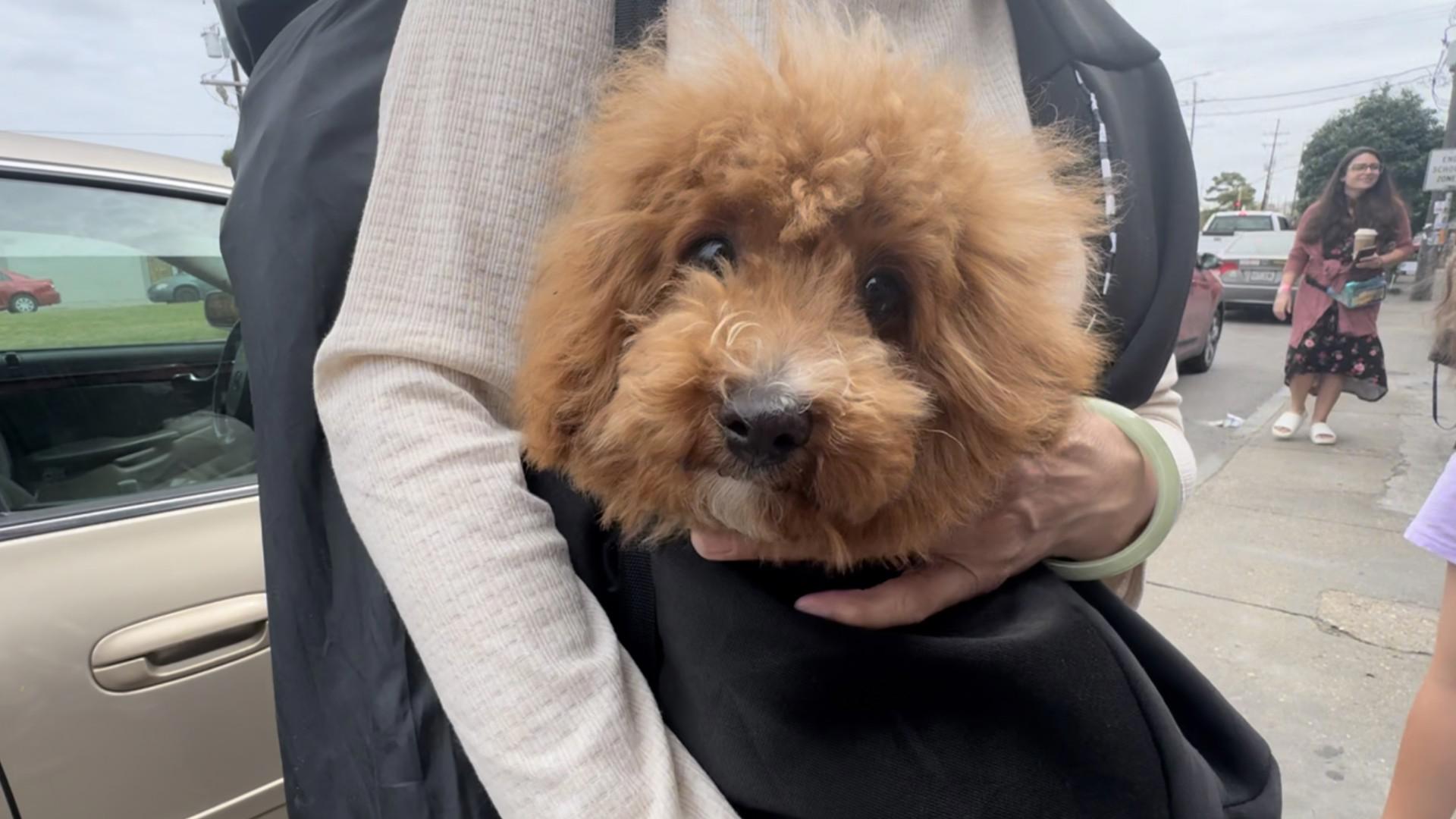 Singer Keely Smith, who gained fame with husband Louis Prima, dies ...