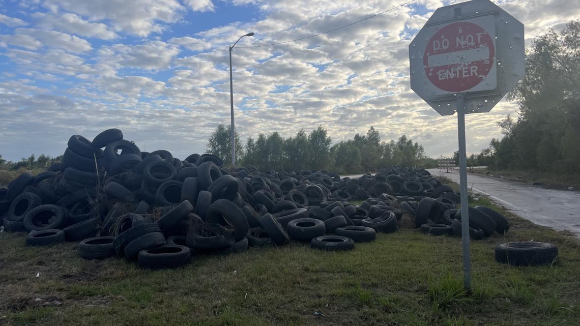 "We have to set up traps and make examples of people" - citizens call ...