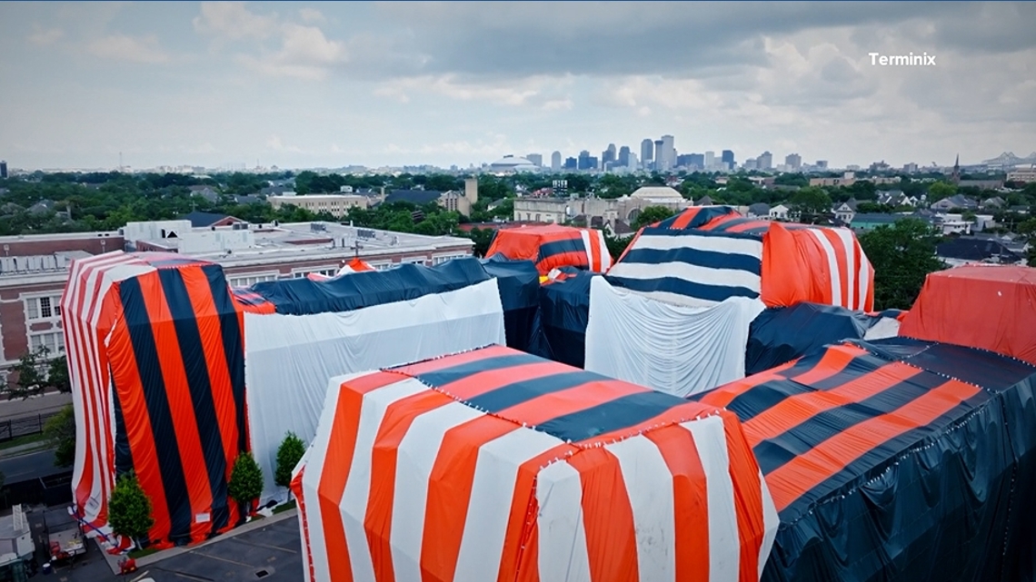 New Orleans landmark disappears under giant termite tent | wwltv.com