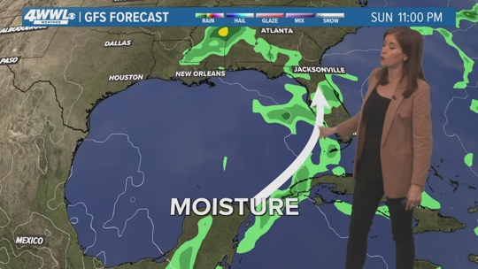 Stinging buck moth caterpillar season has begun early | wwltv.com