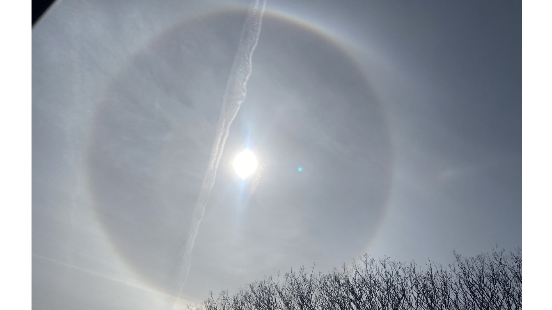 Baby, I can see your sun halo - weather phenomenon shines over New ...
