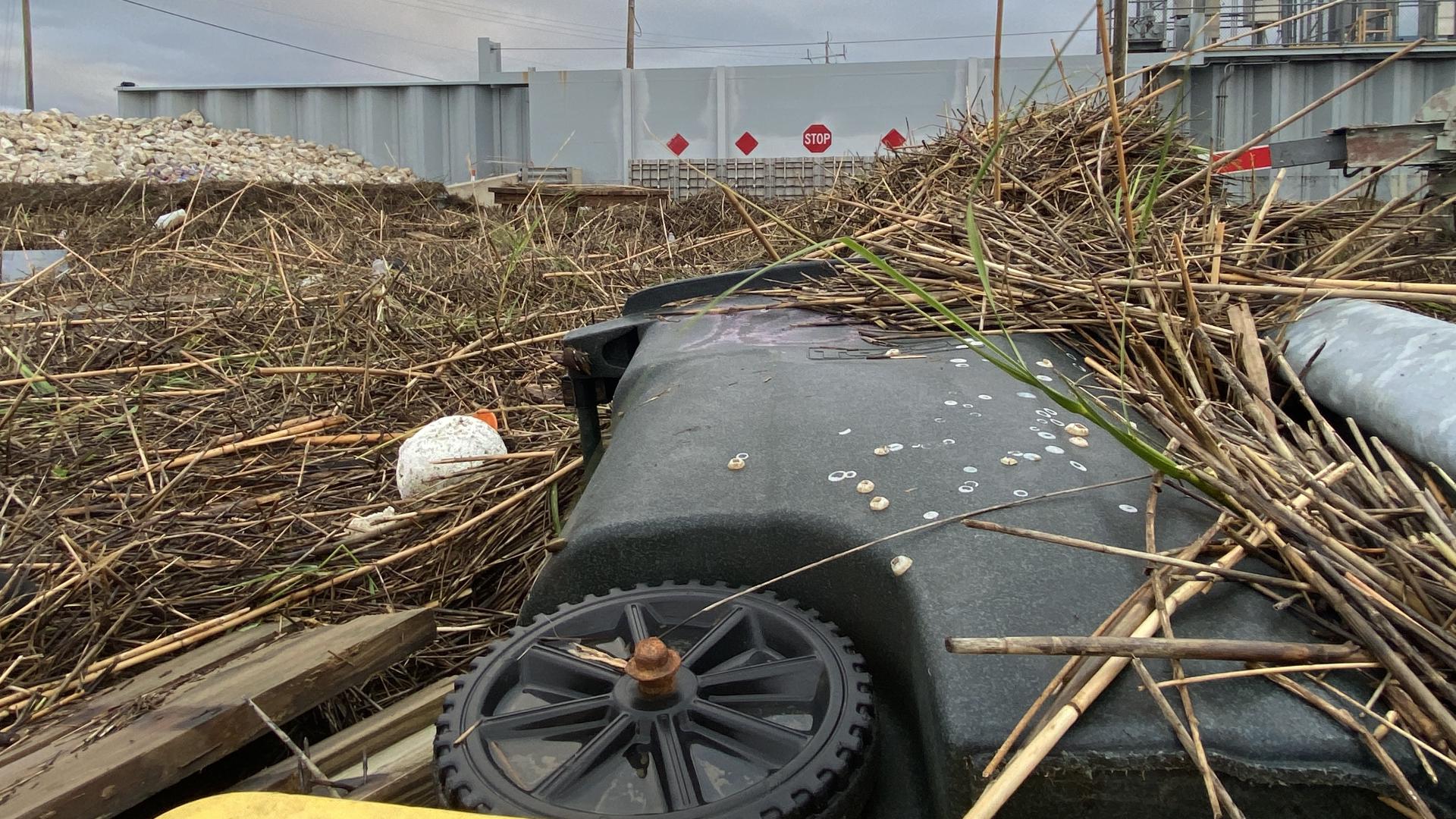 Photos, Videos | Hurricane Francine damage across Southeast Louisiana ...