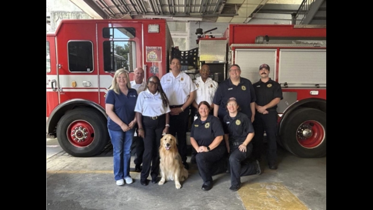 Captain Billy joins NOFD as new crisis response dog | wwltv.com