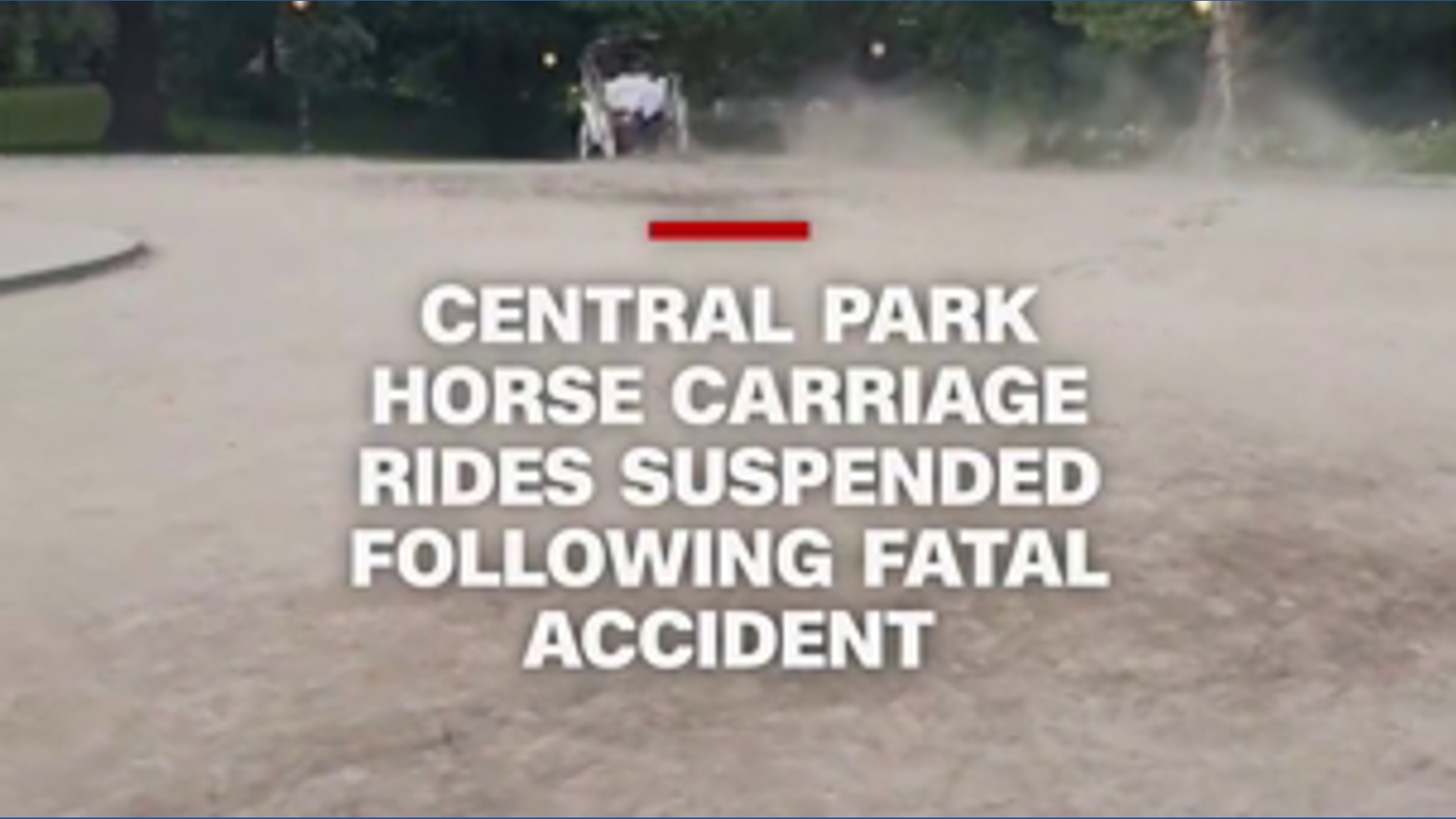 Central Park horse carriage ride fatal accident | wwltv.com