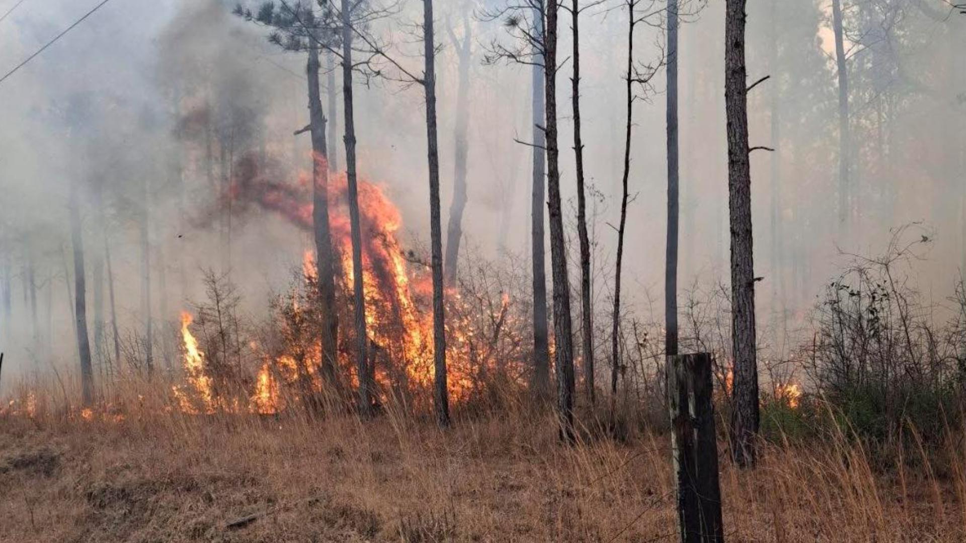 Washington Parish burn ban lifted due to improved conditions | wwltv.com