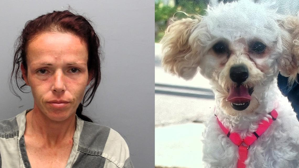 St. Bernard car theft suspect on the run; dog still missing | wwltv.com