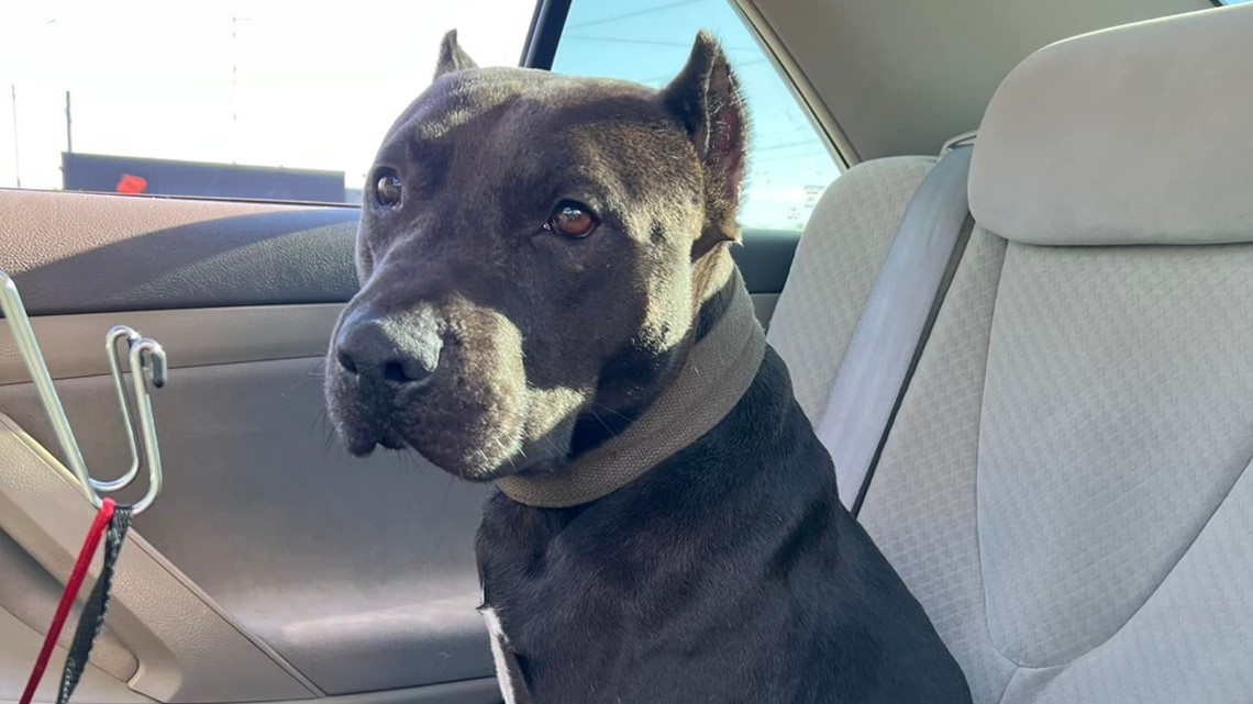 Former meteorologist Laura Buchtel returns to WWL-TV for some fun ...