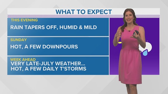 Watch | 4WWL Live and On-Demand Videos | New Orleans, Louisiana | wwltv.com