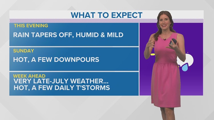 Watch | 4WWL Live and On-Demand Videos | New Orleans, Louisiana | wwltv.com