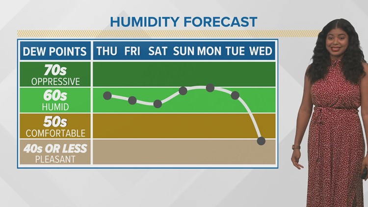 'A true miracle' | Brain surgery brings life back to WWL-TV's Garland ...