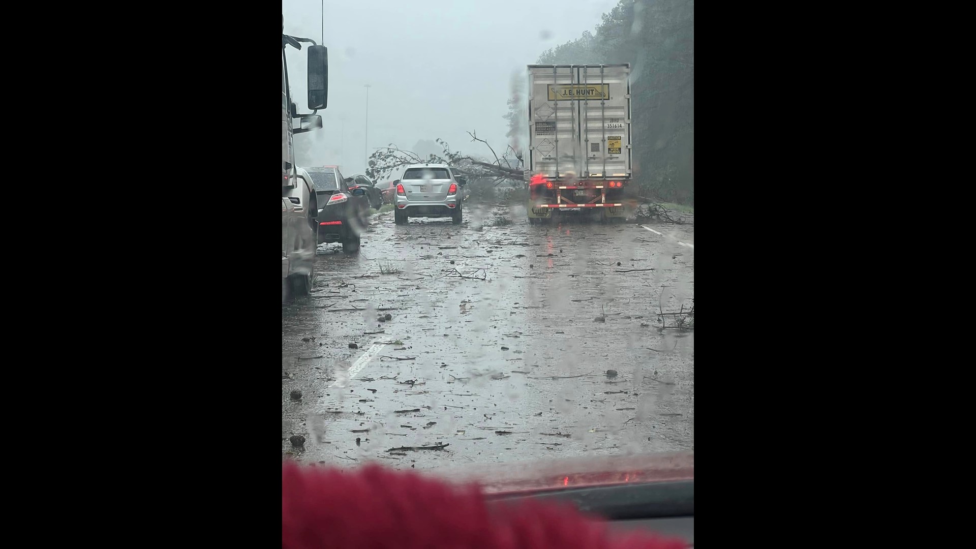 Strong storms sweep across Northshore, leaves fallen trees in wake ...