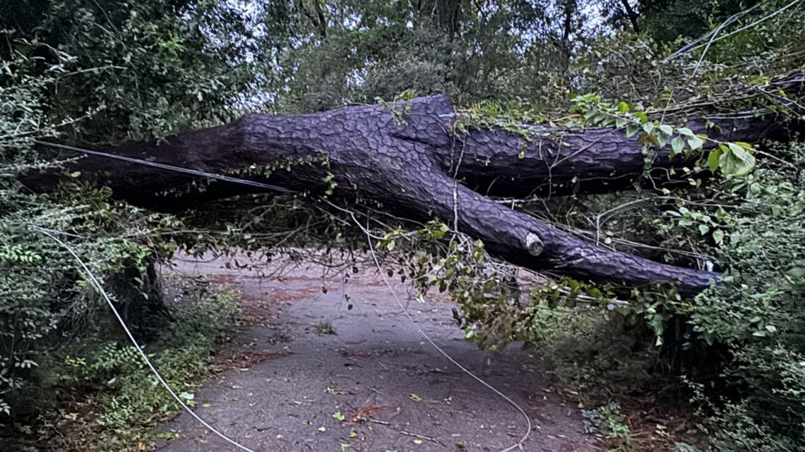 Hurricane Francine sends destruction across Louisiana | wwltv.com