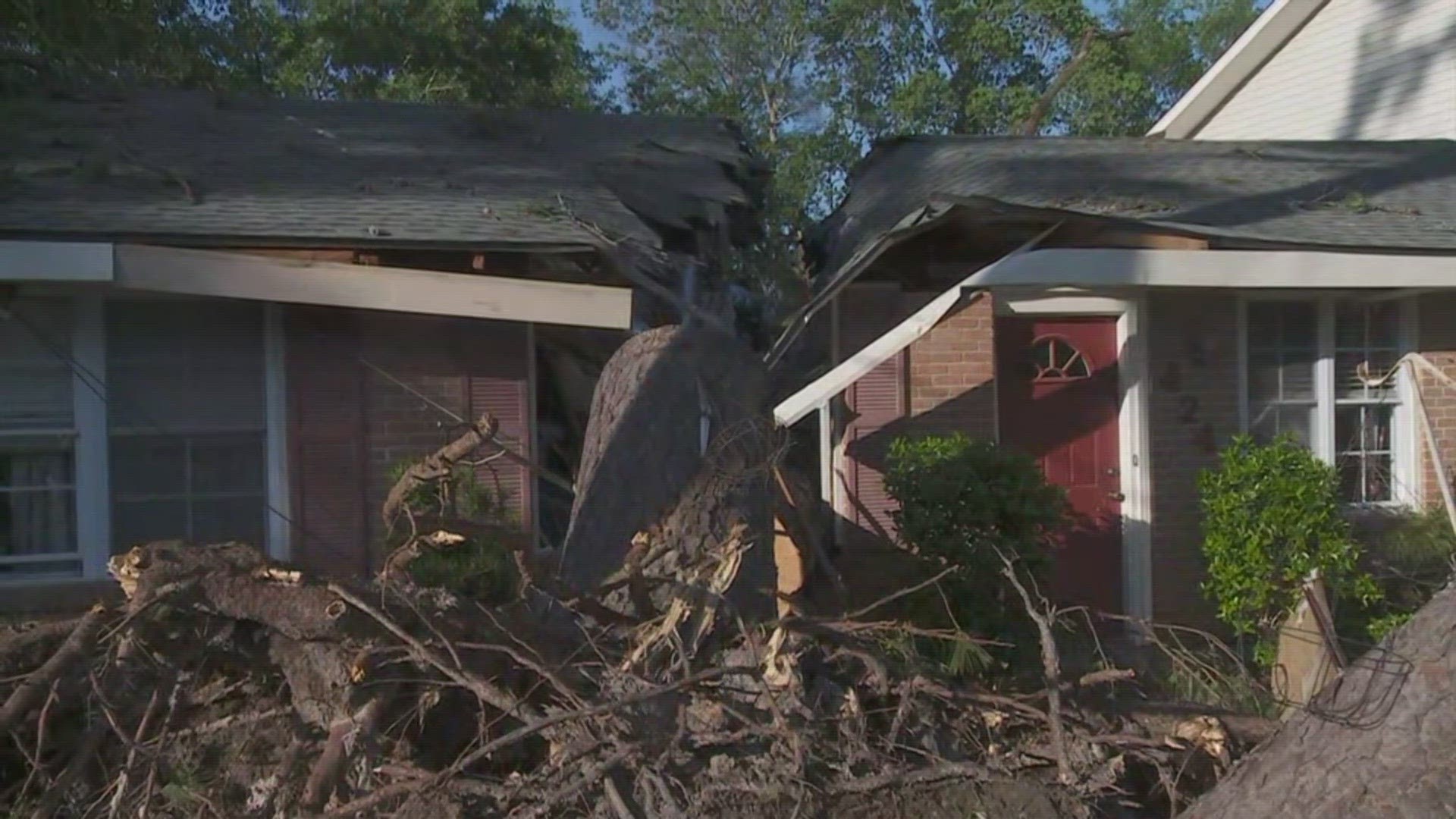 Massive pine tree splits home in half in Slidell | wwltv.com