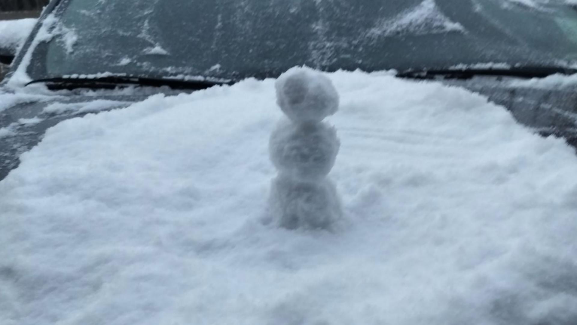 Videos and photos of snow in Louisiana | wwltv.com