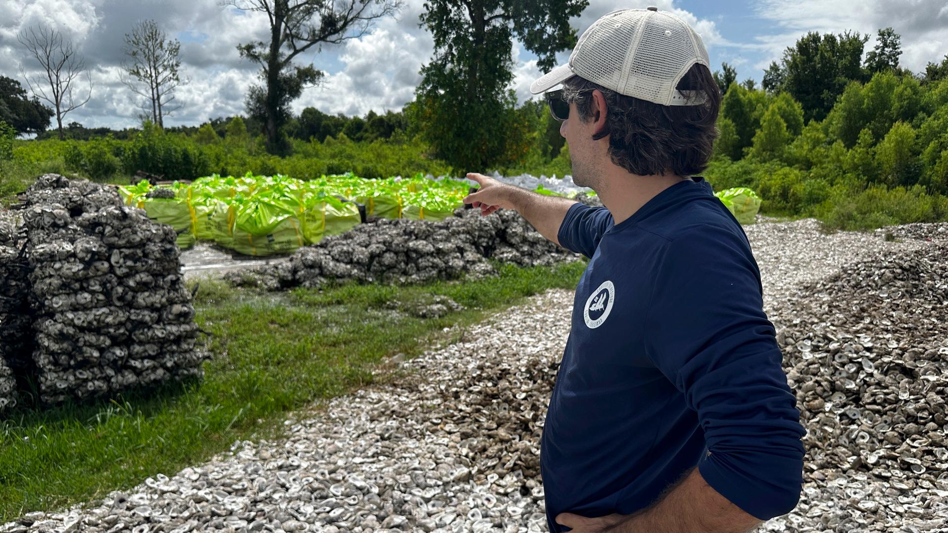 Oyster shell recycling program expands from New Orleans to Baton Rouge ...