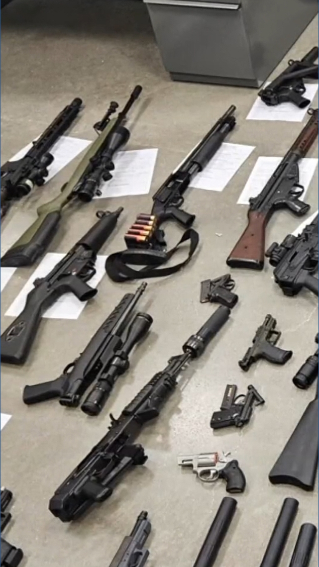 Marijuana ring dismantled: 50 guns seized, suspect at large, officials ...