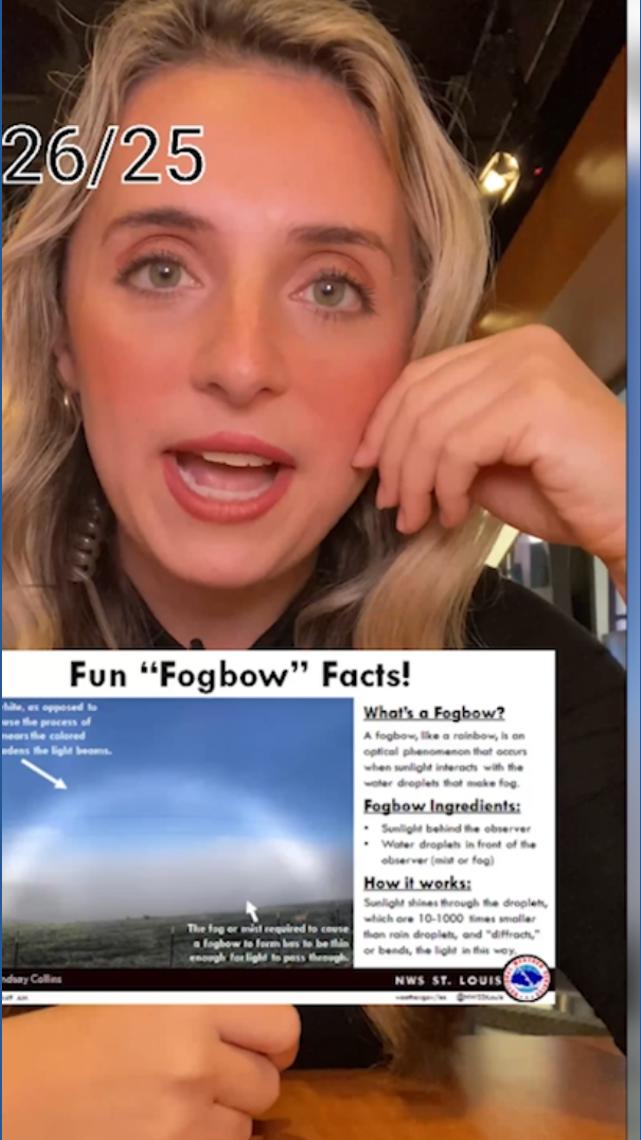 David Hammer - Chief Investigative Reporter | wwltv.com