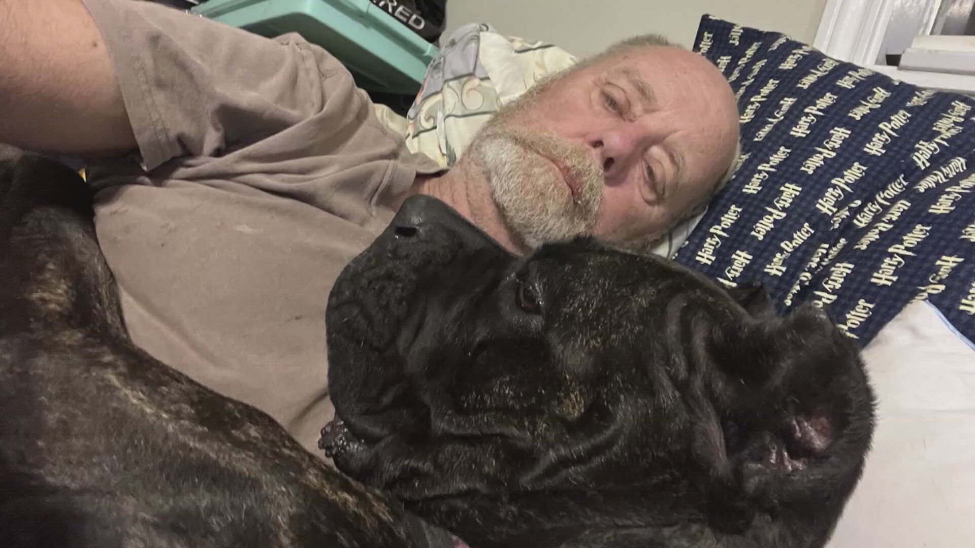 Dog dies after saving life in house fire | wwltv.com