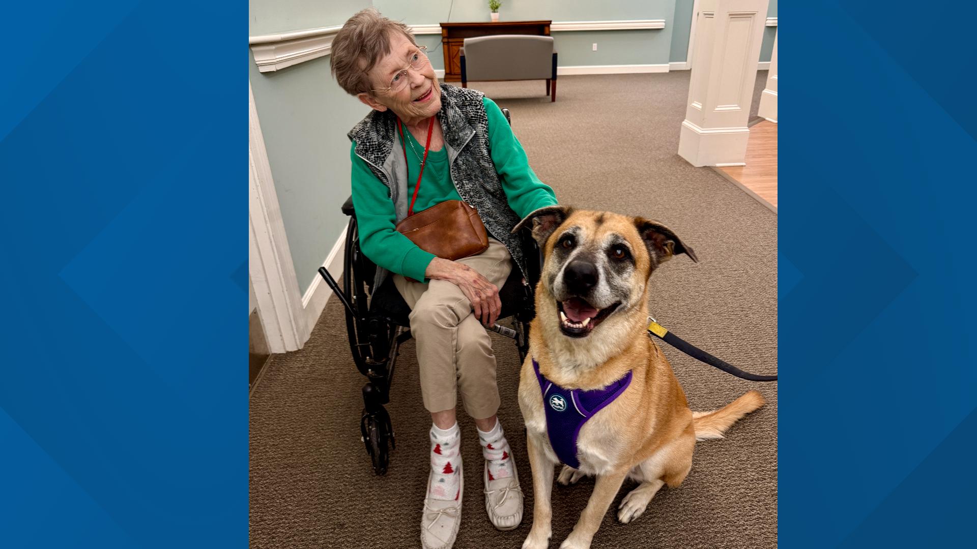 Golden Paws Connects Shelter Dogs With Seniors in Covington | wwltv.com