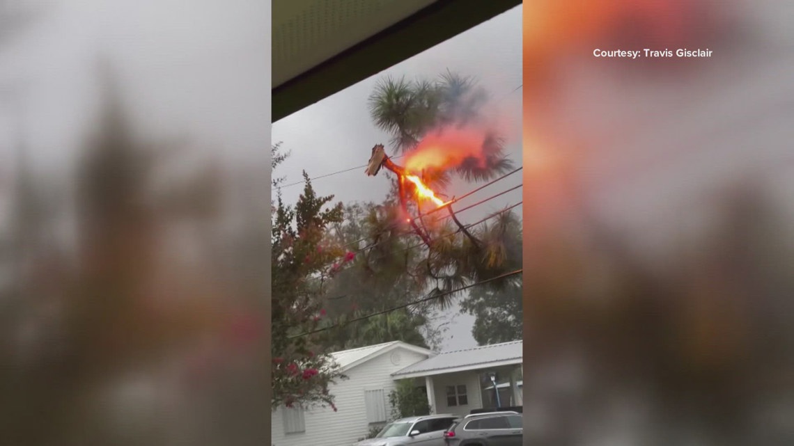 Watch: Flaming tree branch knocks out power in Cut Off neighborhood ...