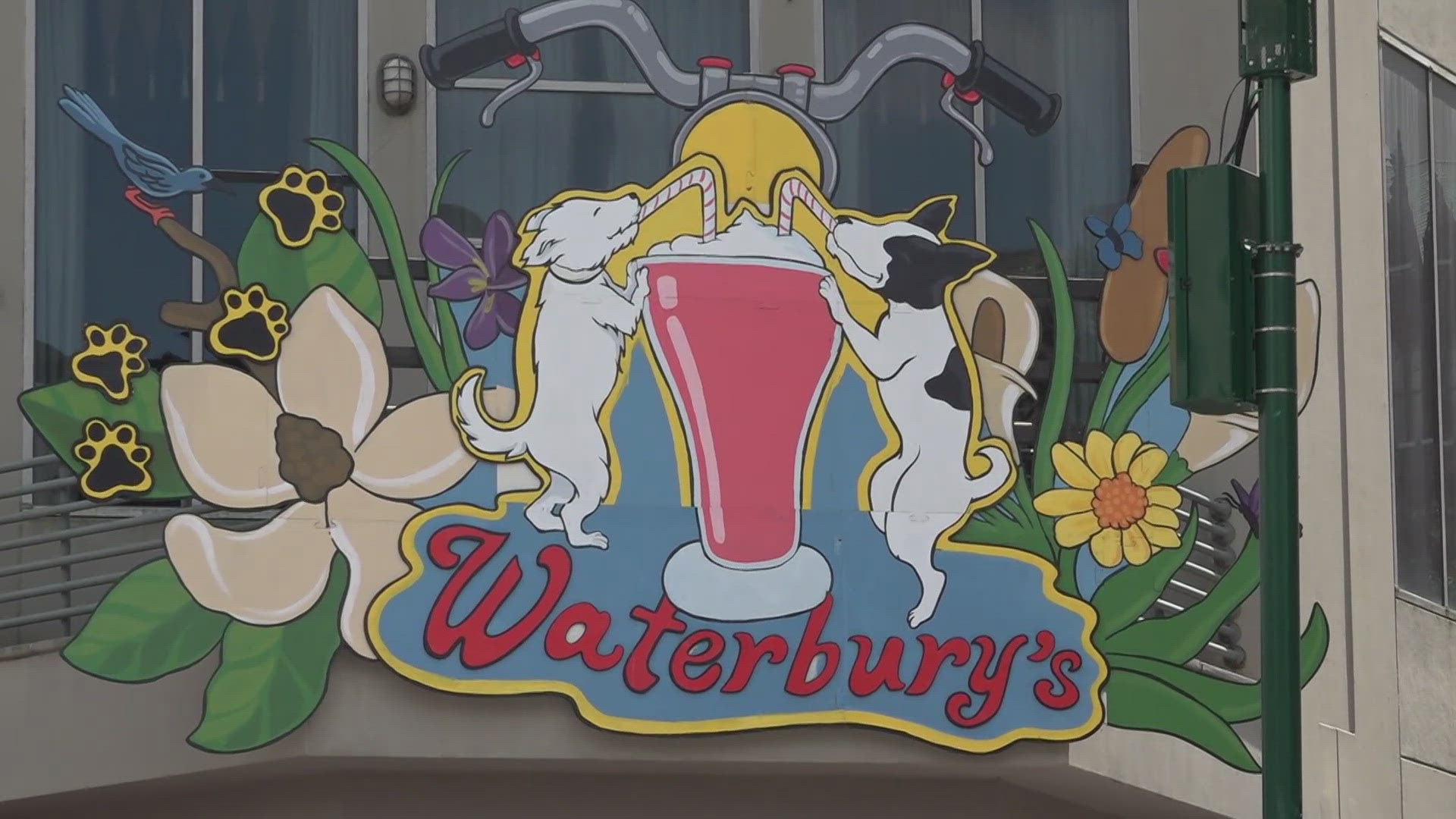 Canal St Signs Transformed into Art to Welcome Families Back to ...