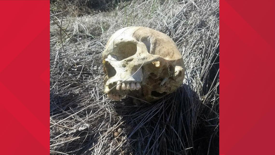 Skull found 7 years ago identified | wwltv.com