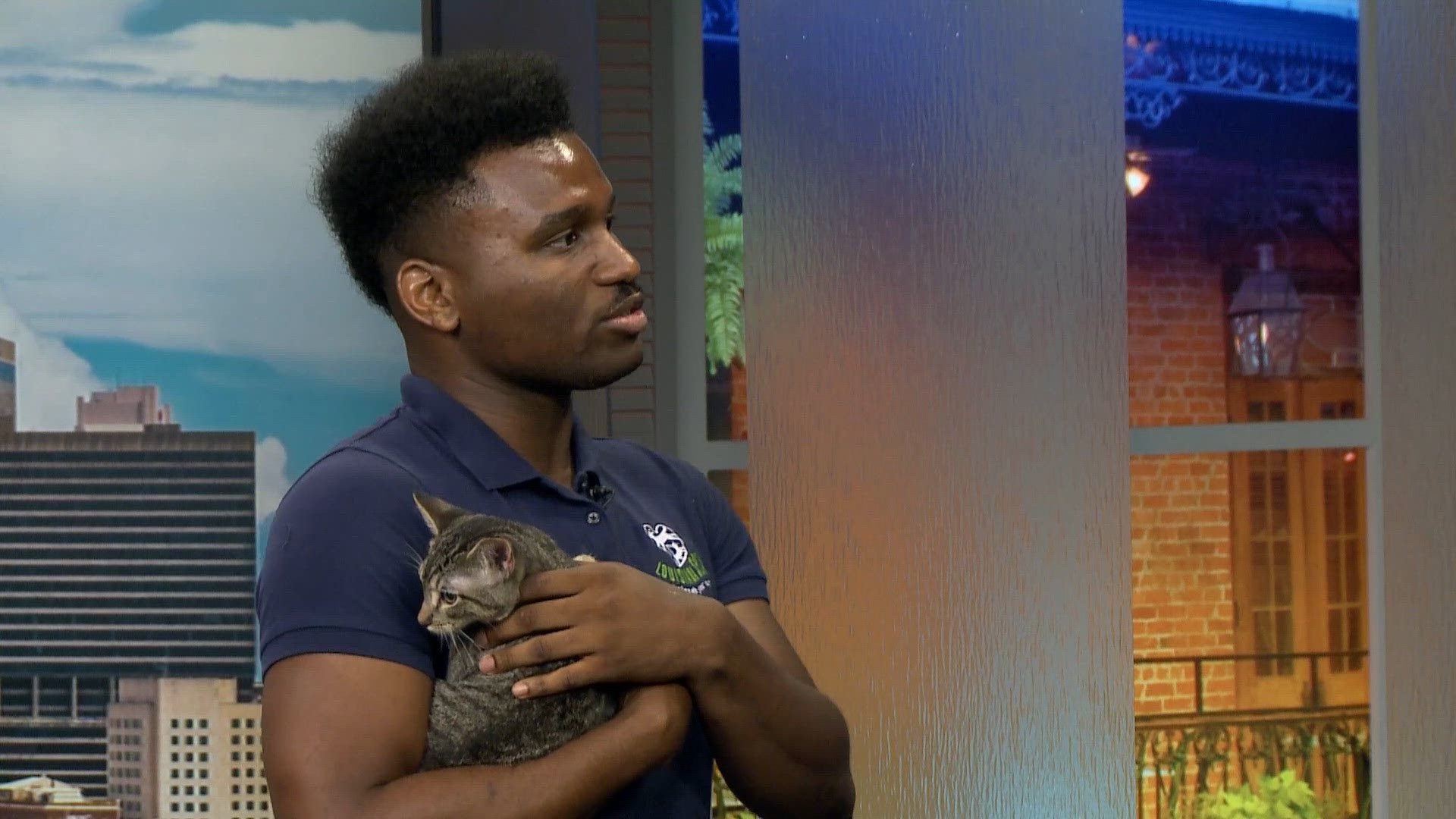 LASPCA: Pet safety tips for fall festival season | wwltv.com