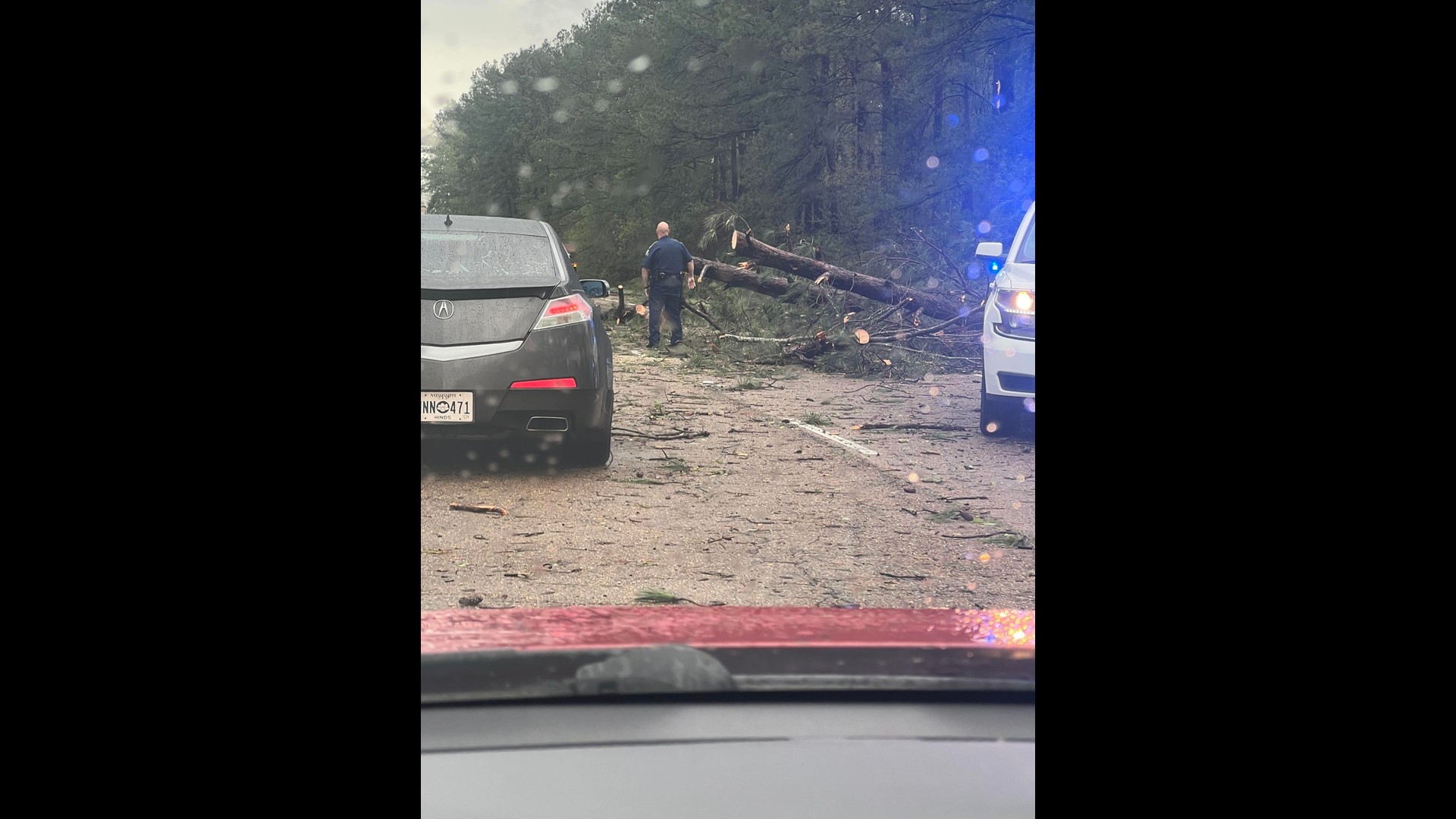 Strong storms sweep across Northshore, leaves fallen trees in wake ...