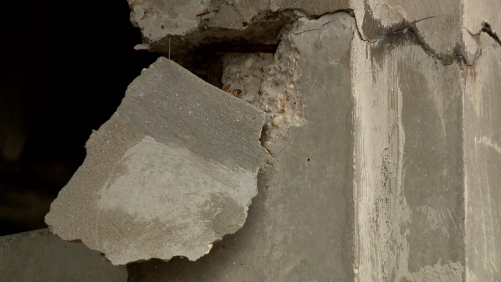 Stinging buck moth caterpillar season has begun early | wwltv.com