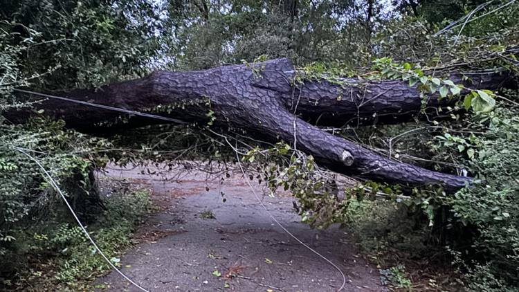 Photos, Videos | Hurricane Francine damage across Southeast Louisiana ...