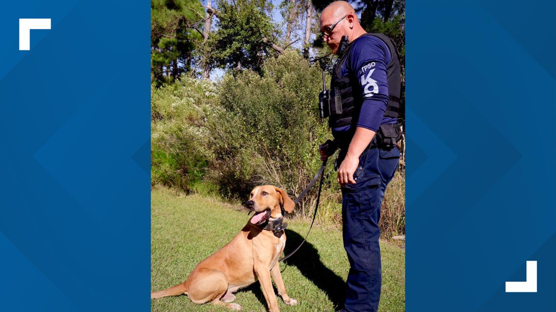 St. Tammany deputies, K9 rescue 37-year-old man with special needs ...