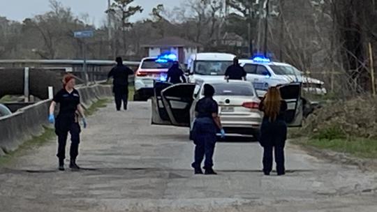 Mardi Gras Day shooting in Hollygrove leaves man dead, NOPD says ... Mardi Gras Day shooting in Hollygrove leaves man dead, NOPD says ...