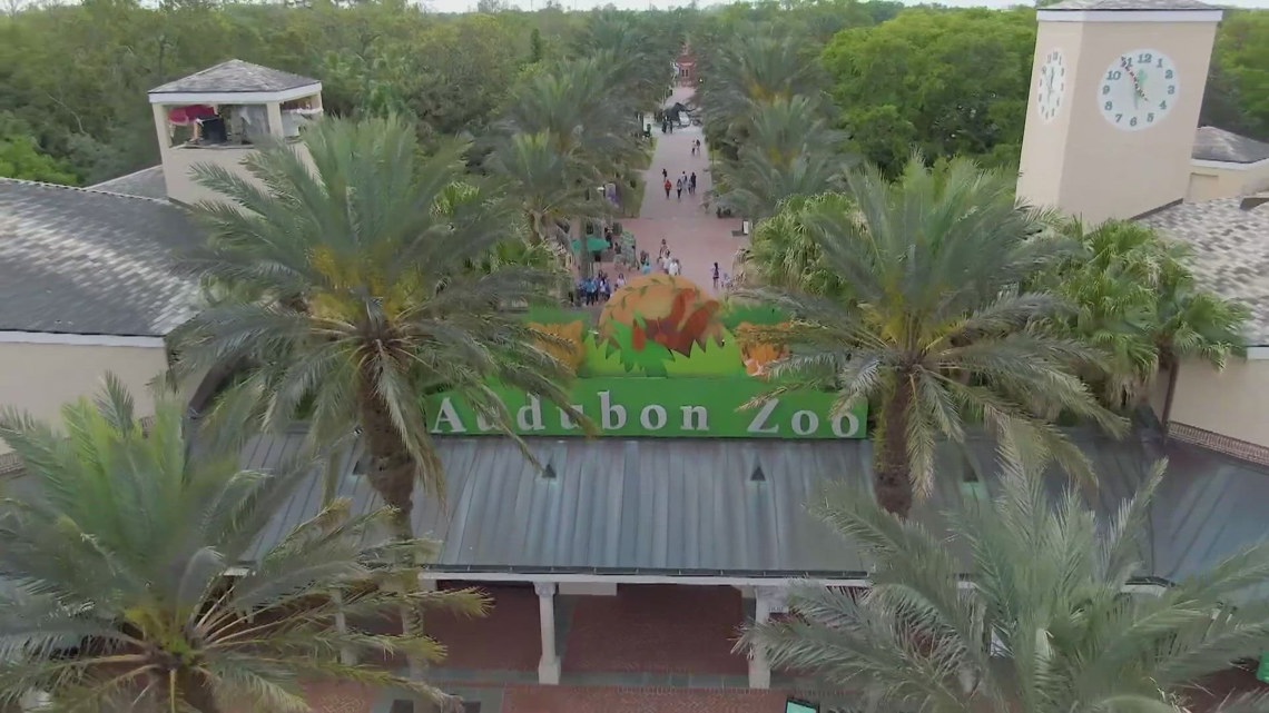 Audubon announces new membership plans | wwltv.com