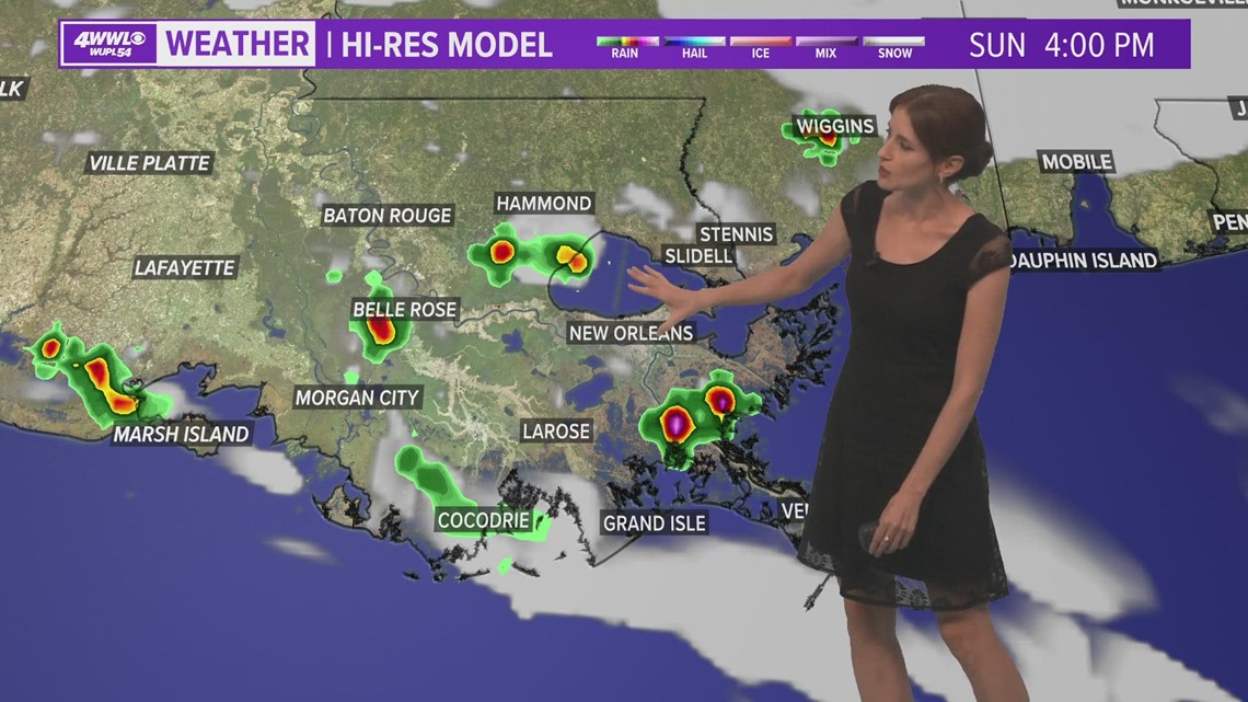 A Tale of Two Cities: Rebuilding from Katrina was not equal for all ...