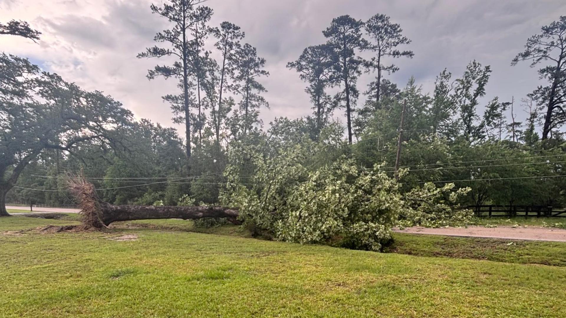Trees and power lines knocked down after storms across St. Tammany ...