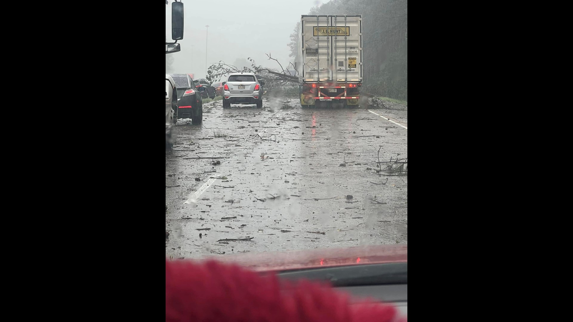 Strong storms sweep across Northshore, leaves fallen trees in wake ...