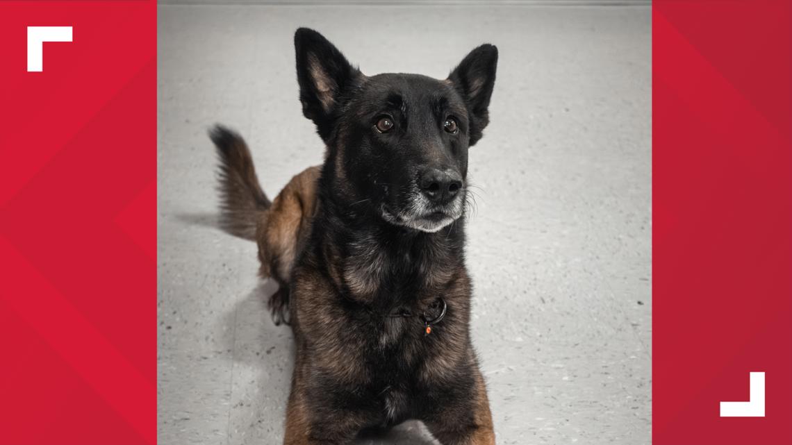 New Information: JPSO K-9 dies during SWAT Operation | wwltv.com
