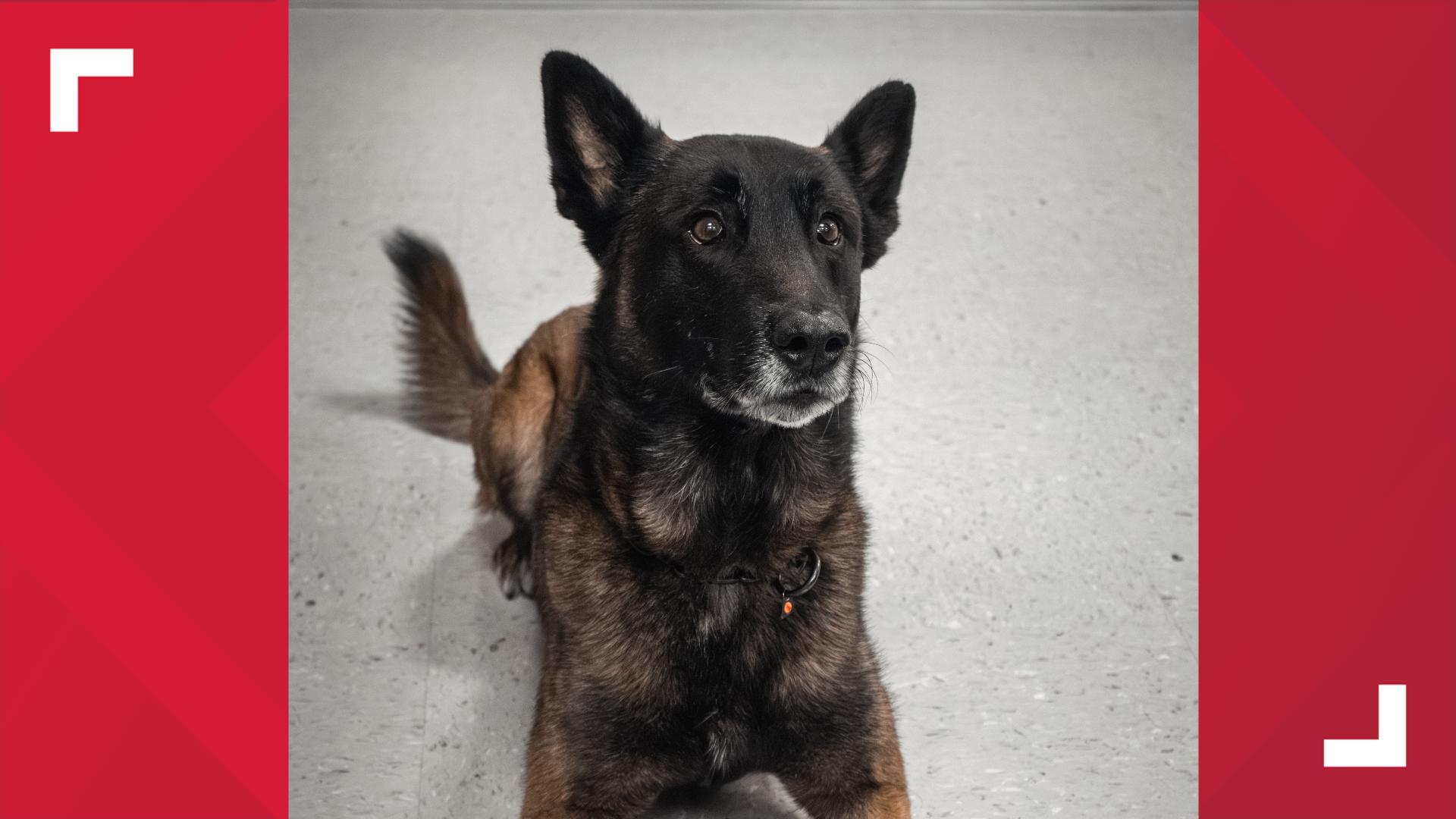 New Information: JPSO K-9 dies during SWAT Operation | wwltv.com