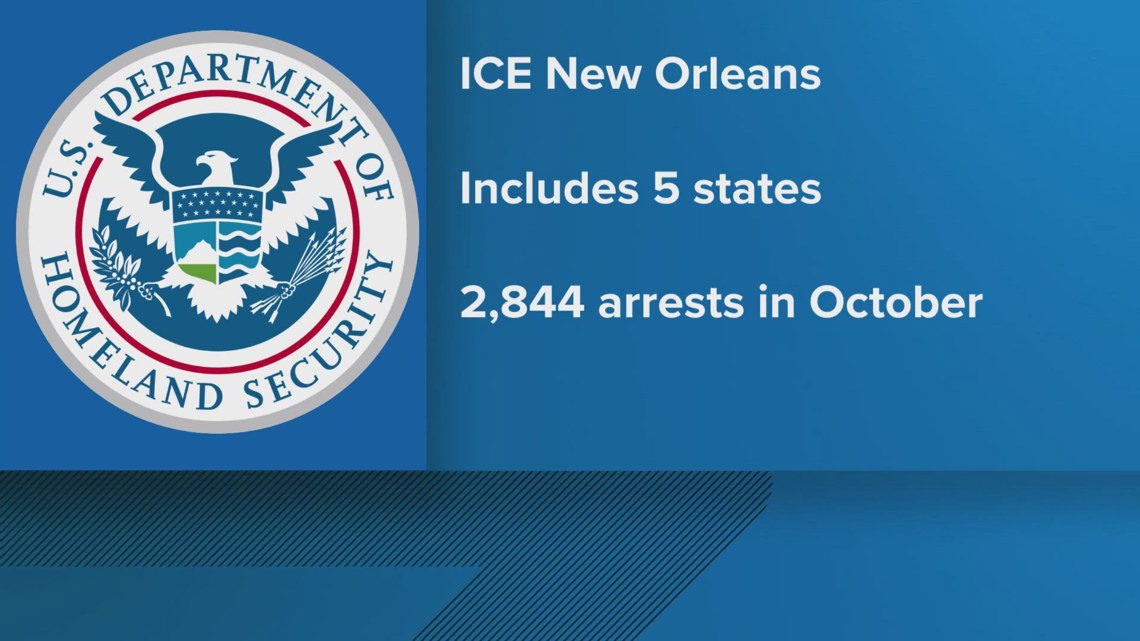 'Operation Swamp Sweep': Massive New Orleans Immigration Enforcement ...