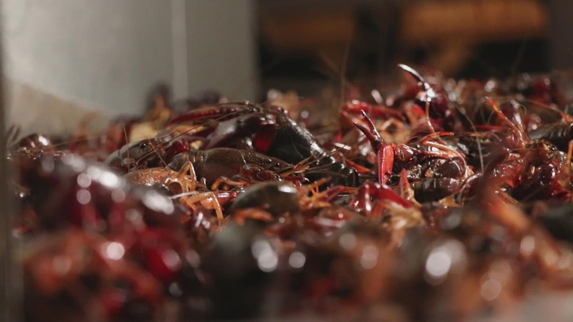 Arctic freeze expected to reduce crawfish numbers | wwltv.com