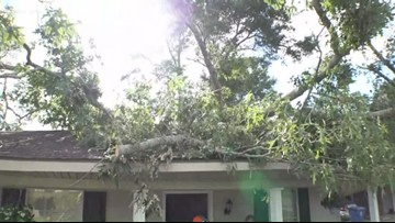 My54 WUPL-TV | WWLTV.com