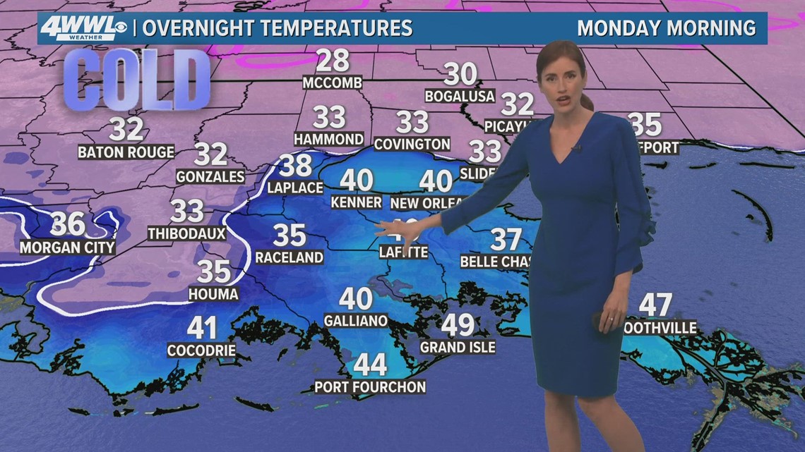 Try Catfish Allison on National Catfish Day | wwltv.com