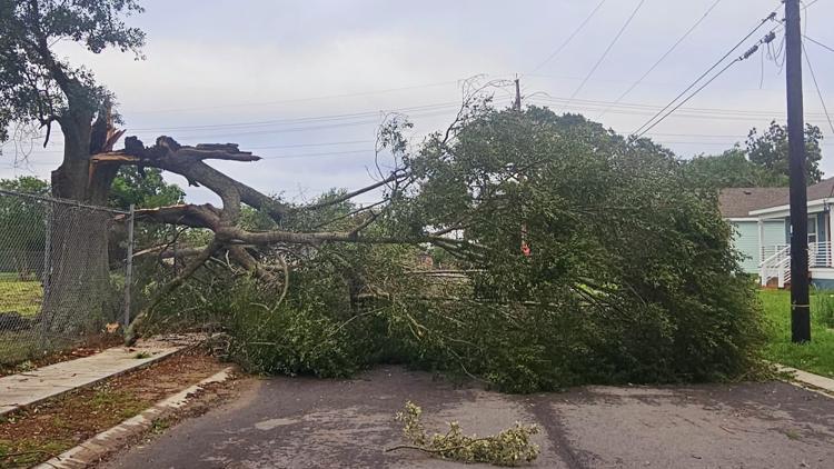 Photos, Videos | Hurricane Francine damage across Southeast Louisiana ...