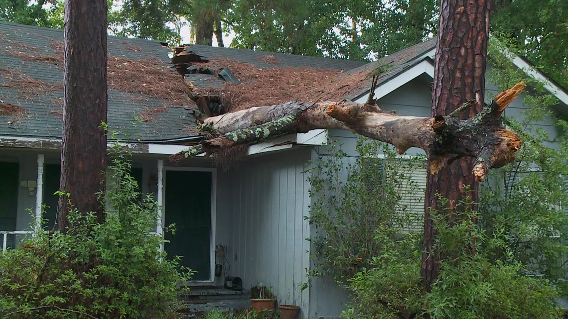 Tree falls through Mandeville home during storm | wwltv.com