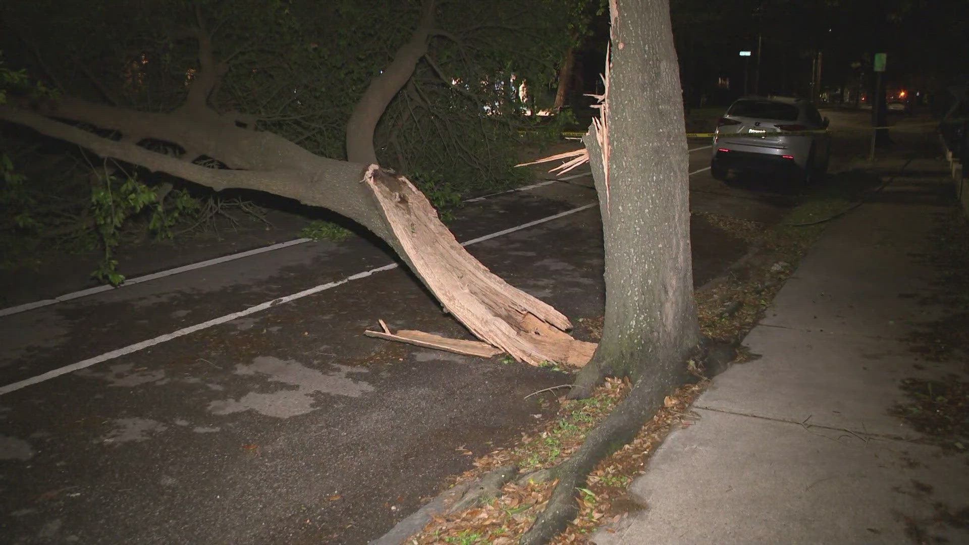 Trees fall across St. Charles Avenue, briefly block traffic and ...