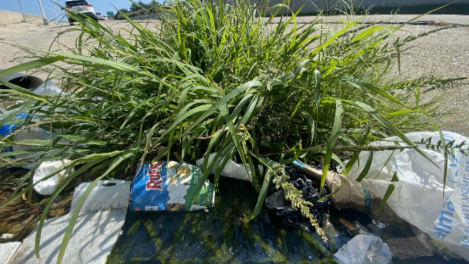 One day after major clogs to critical catch basins show on WWL, debris ...