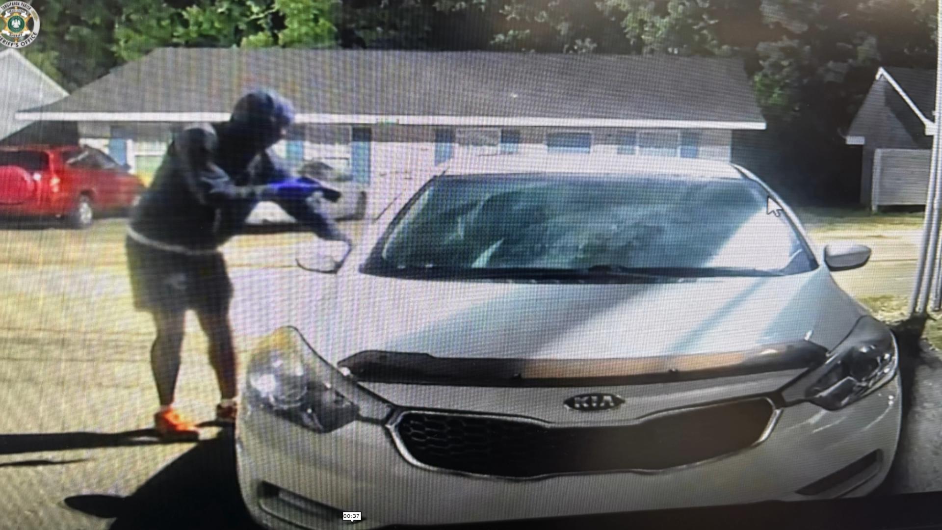 TPSO probing connected car crimes in Tickfaw area | wwltv.com