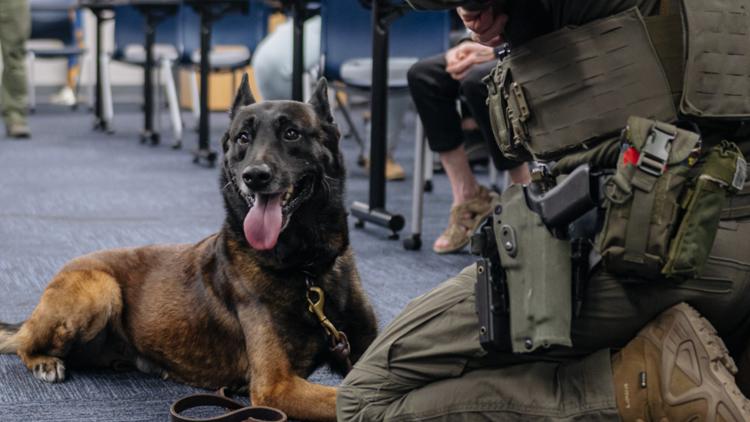 New Information: JPSO K-9 dies during SWAT Operation | wwltv.com